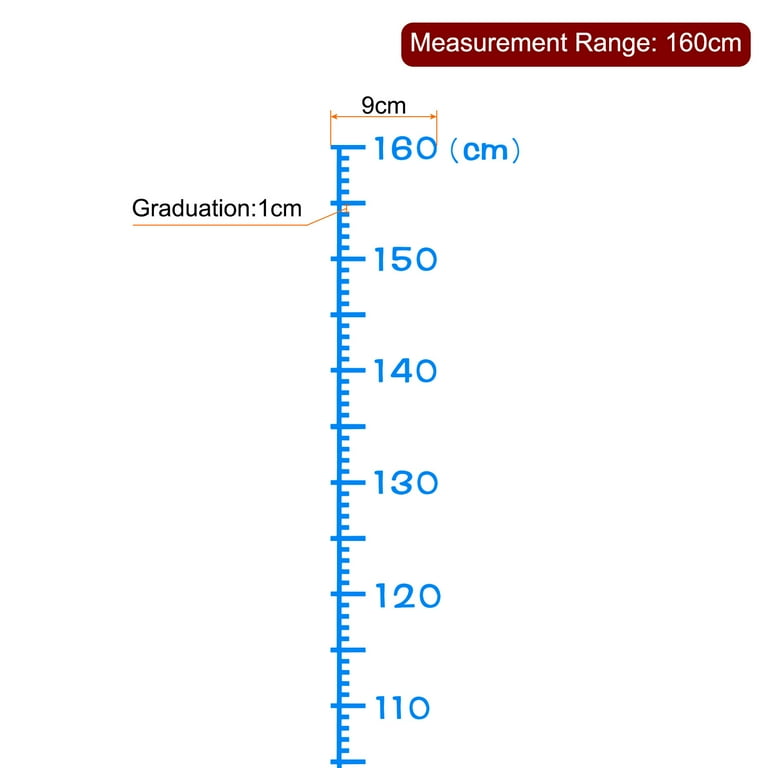 Metric System Ruler
