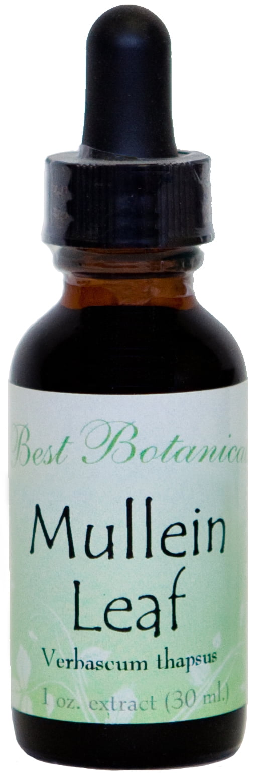 Best Botanicals Mullein Leaf Extract 1 oz. - Walmart.com