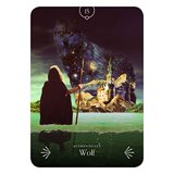 Divine Animals Oracle: Deep Wisdom from the Most Sacred Beings in ...