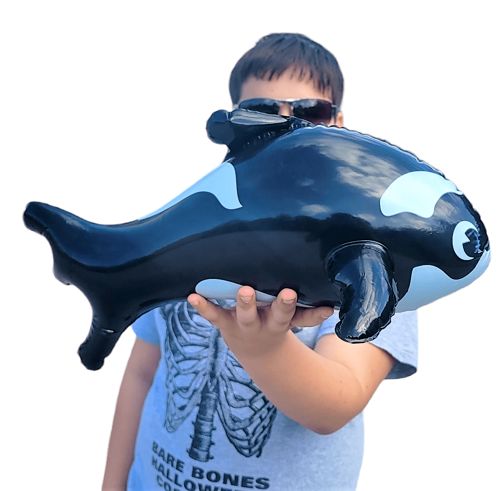 Inflatable Black And White Killer Whale 18 Vinyl Orca Inflate 2