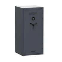 SureLock Security Lieutenant 68 Gun and Home Safe - Walmart.com