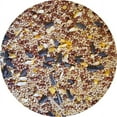 40 LB Wagner's Four Season Wild Bird Food - Walmart.com