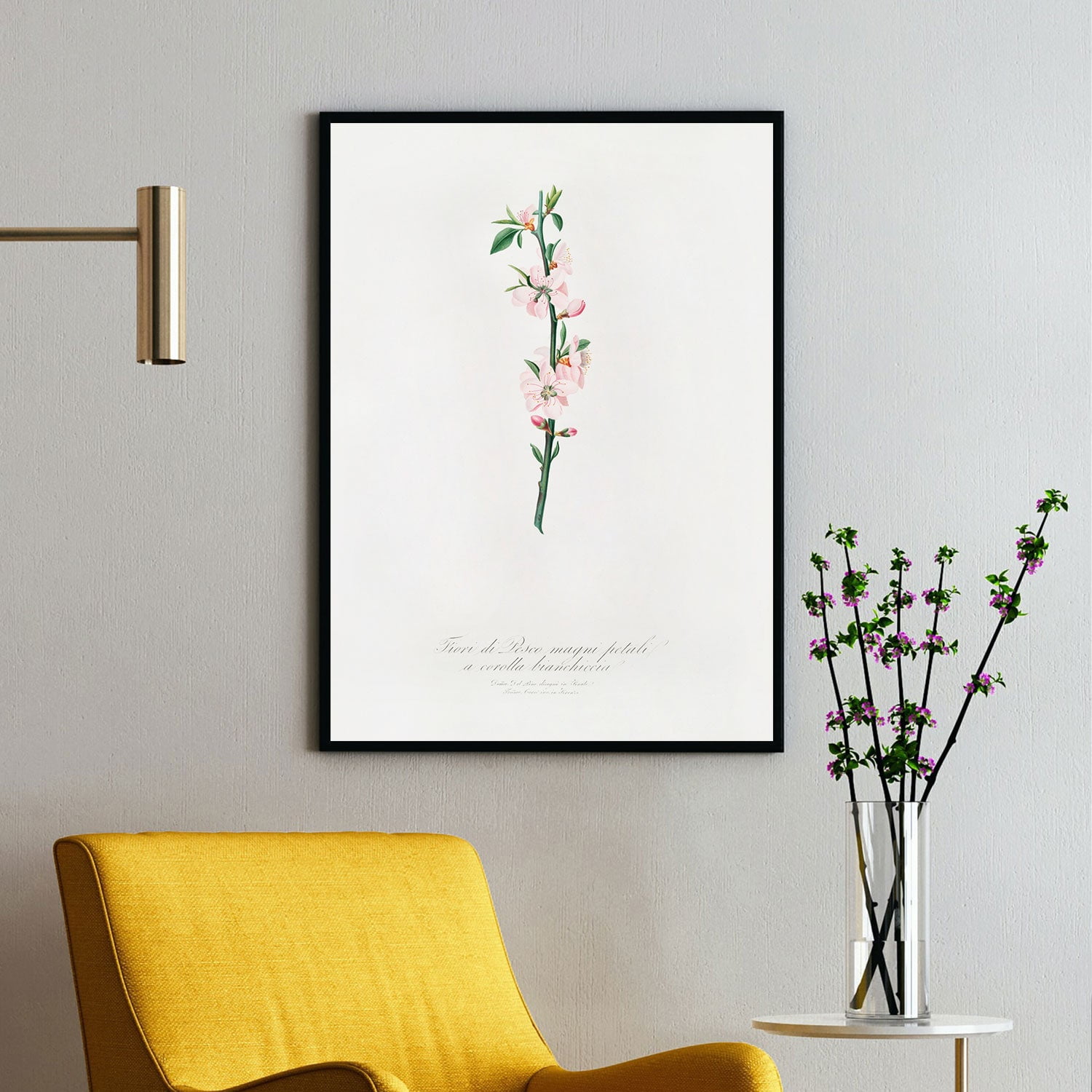 Peach Flower - Prunus persica - 1817 - 1839 | Giorgio Gallesio ...