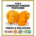 Pops Corn, Gourmet Popcorn Tin, 2 Gallons, 3 Flavors Free Scooper ...