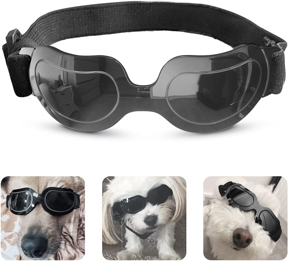 How Are Doggles Measured