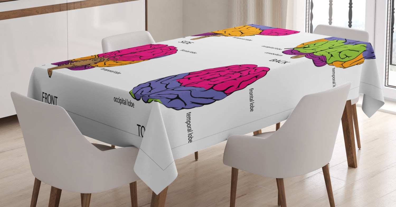 Ambesonne Science Tablecloth Rectangular Table Cover, Human Brain ...