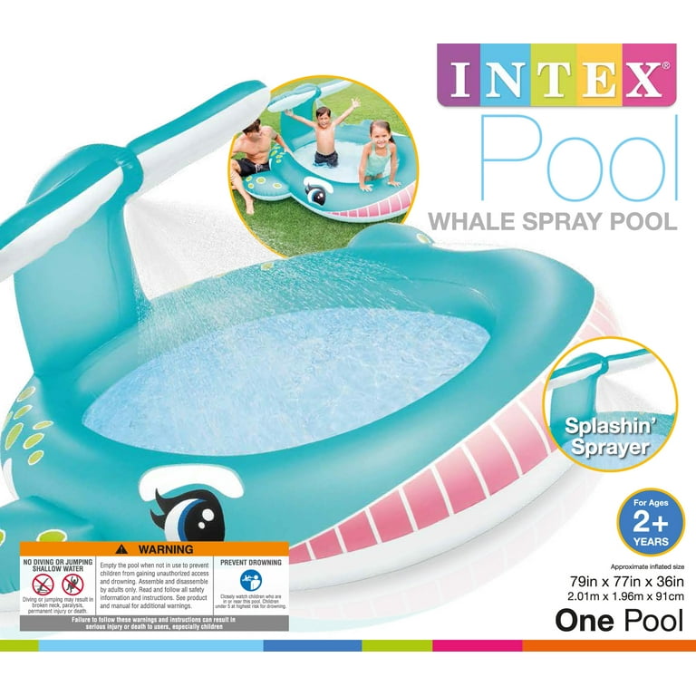 Whale In Swimming Pool