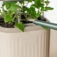 Vego Garden 2 Pack Self-Watering Mini Planter Box with Trellis Cream ...