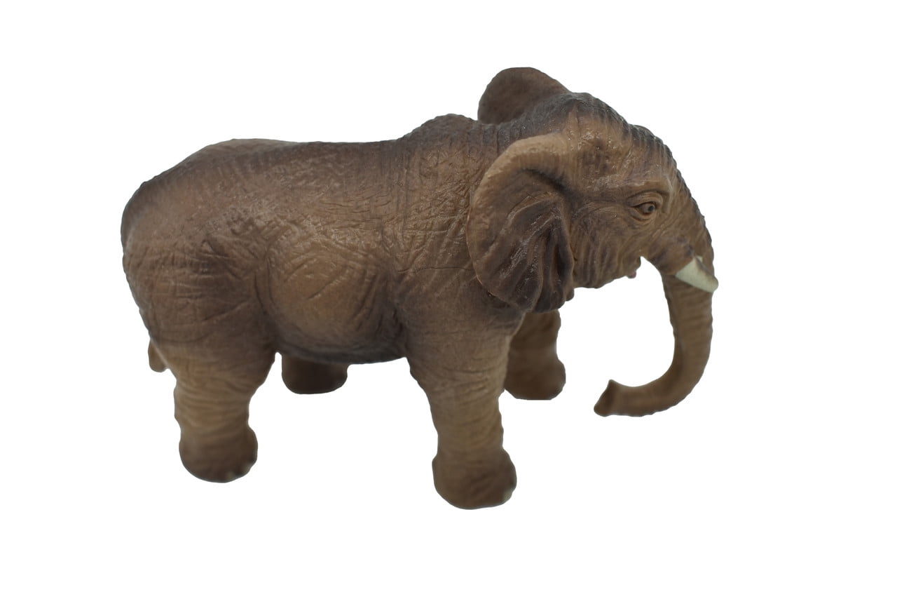 Elephant, Asian, Museum Quality Plastic Animal Toy, Educational ...