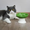 Ceramic Slow Feeder Bowl for Cats and Small Dogs, Elevated Tilted Pet ...