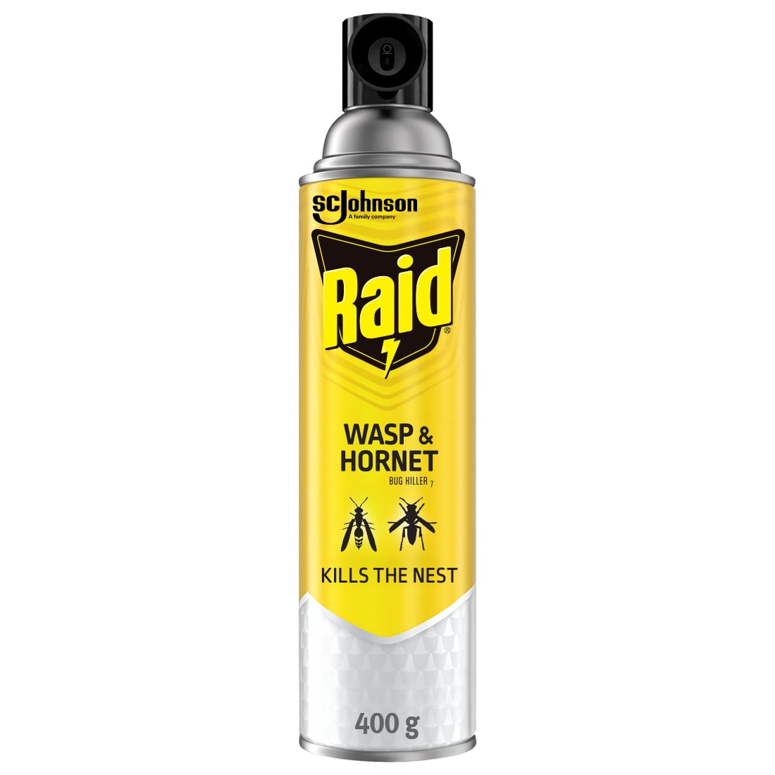 Click here for Raid Wasp And Hornet Insect Killer Spray  Kills Bu... prices