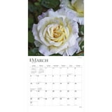 Roses | 2024 12x24" (Hanging) Monthly Square Wall Calendar | BrownTrout ...