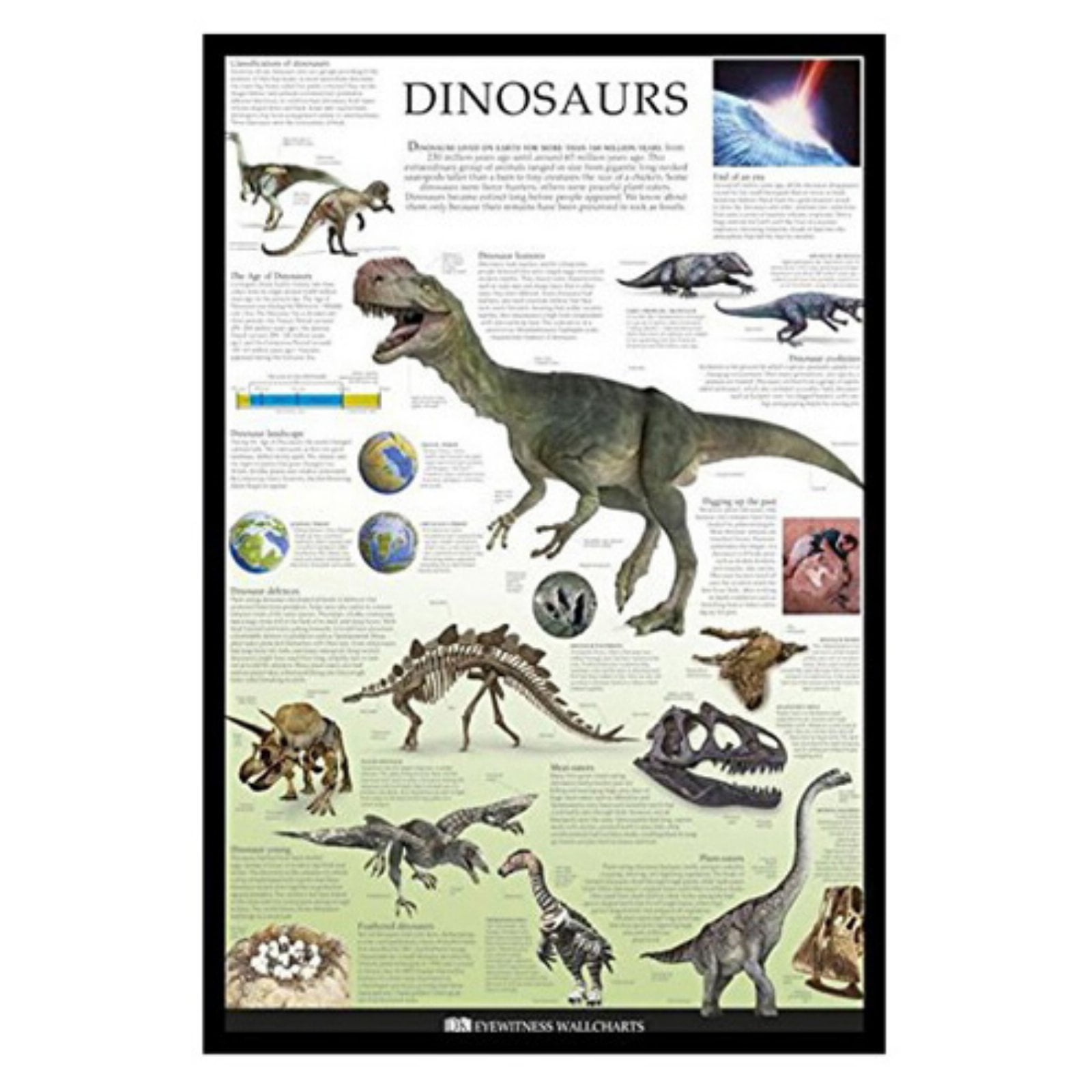 buyartforless Educational Dinosaurs Framed Wall Poster - Walmart.com