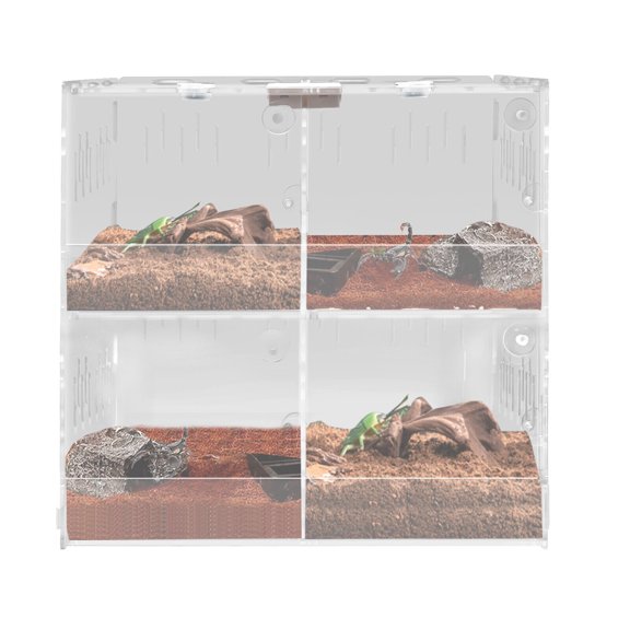 Escape-Resistant Reptile & Insect Habitat - Crystal View Tank with ...