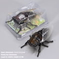 Realistic Interactive Insect Toy Wind-Up Beetle Figure Educational Play ...