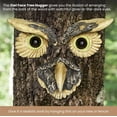 Bits and Pieces Resin Owl Face Tree Hugger - Decorative Lawn Ornament ...