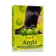 Hesh Amla Herbal Powder, 100 Gm - Walmart.com