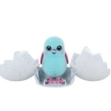Little Live Pets Surprise Chick, Blue Colors and Styles May Vary, Girls ...