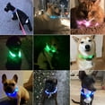 AUPERTO USB Rechargeable LED Dog Collar, Glow In The Dark Led Pet ...