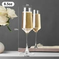 PARACITY Champagne Flutes, Glass Champagne Flutes Set of 2, Gift for ...