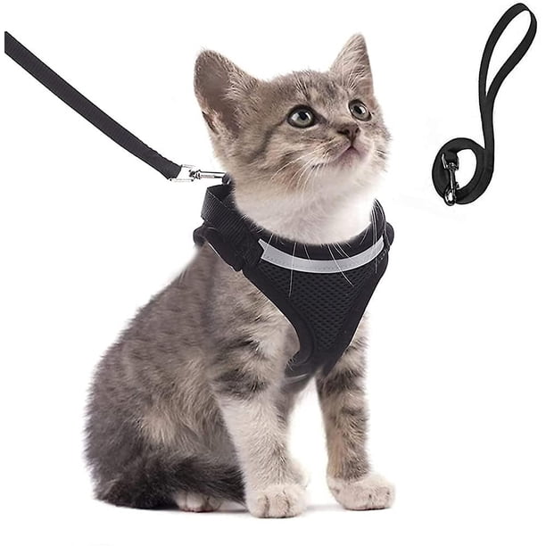 Cat Harness, Cat Lead Set, Cat Harness With Lead, Harness, Cats, Escape ...