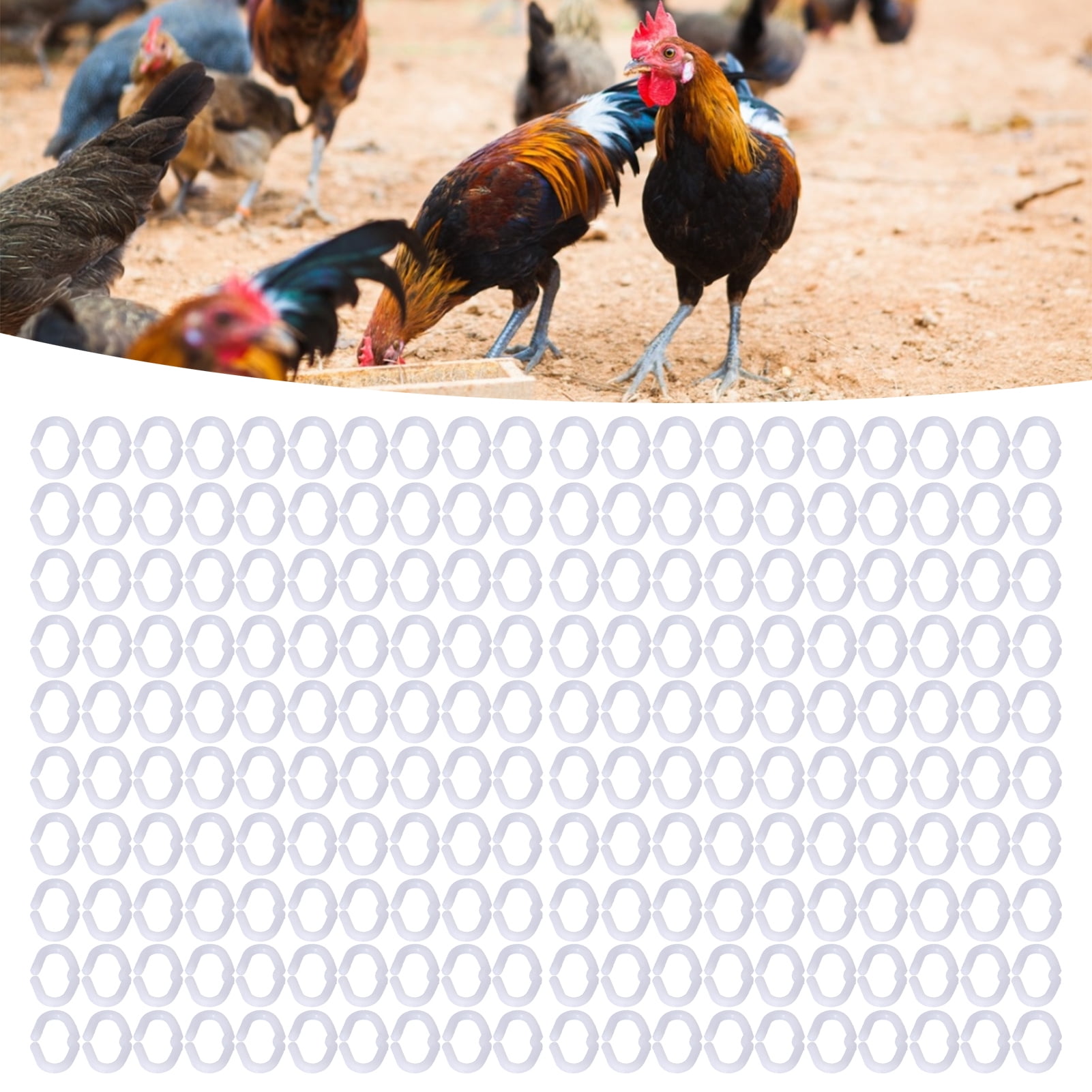 Click here for Lhcer 200pcs Chicken Beak Clips  Plastic Rooster M... prices