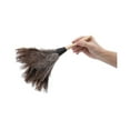 Boardwalk Professional Ostrich Feather Duster Gray 14" Wood Handle ...