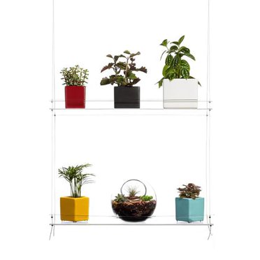 LaBrinx Designs Suction Cup Shelf - Live Plants, Windows, and Bathrooms ...