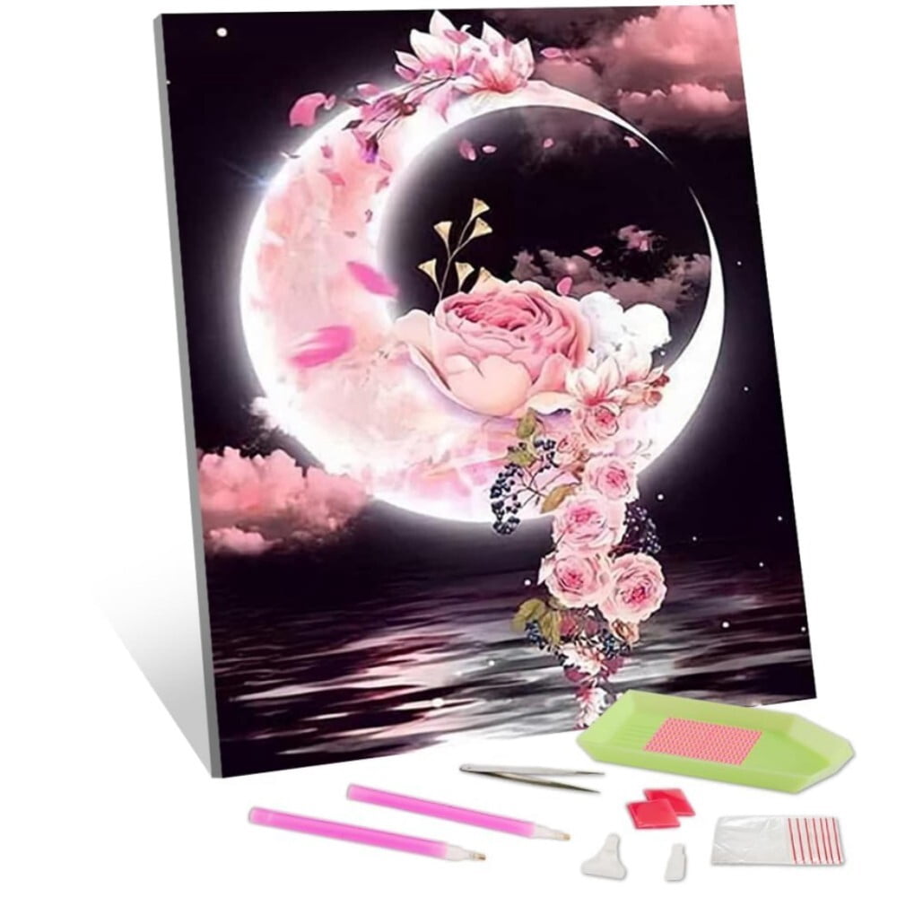 TISHIRON Diamond Painting Kits,12x16 inch 5D DIY Moon Rose Diamond Art ...