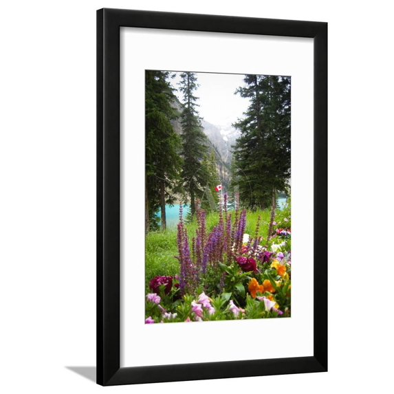 Banff Flowers In National Park Nature Photo Poster Framed Print Wall ...