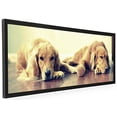 Displays2go 40 x 13.5 Panoramic Photo Frame for Wall Mount Use, 1-inch ...