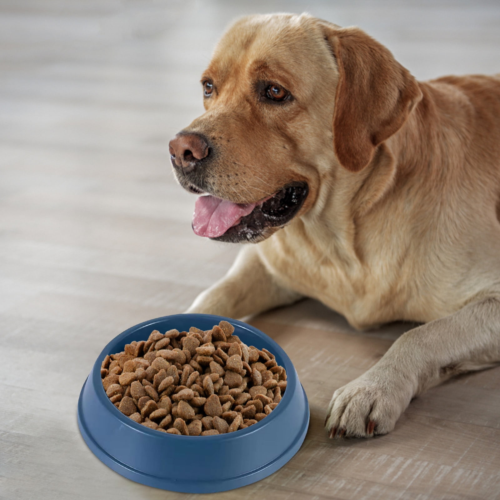 Click here for Chenjiaaa Dog Feeder Slow Eating Pet Bowl Durable... prices