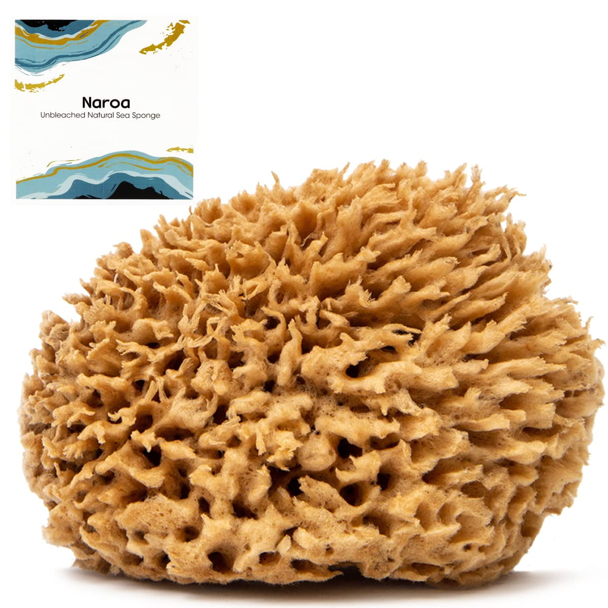 Click here for Sea Sponge Naroa Soft Natural X Large For Bathing prices