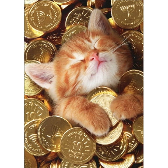 Avanti Press Santa Cat With Cookies Box of 10 Funny Christmas Cards ...