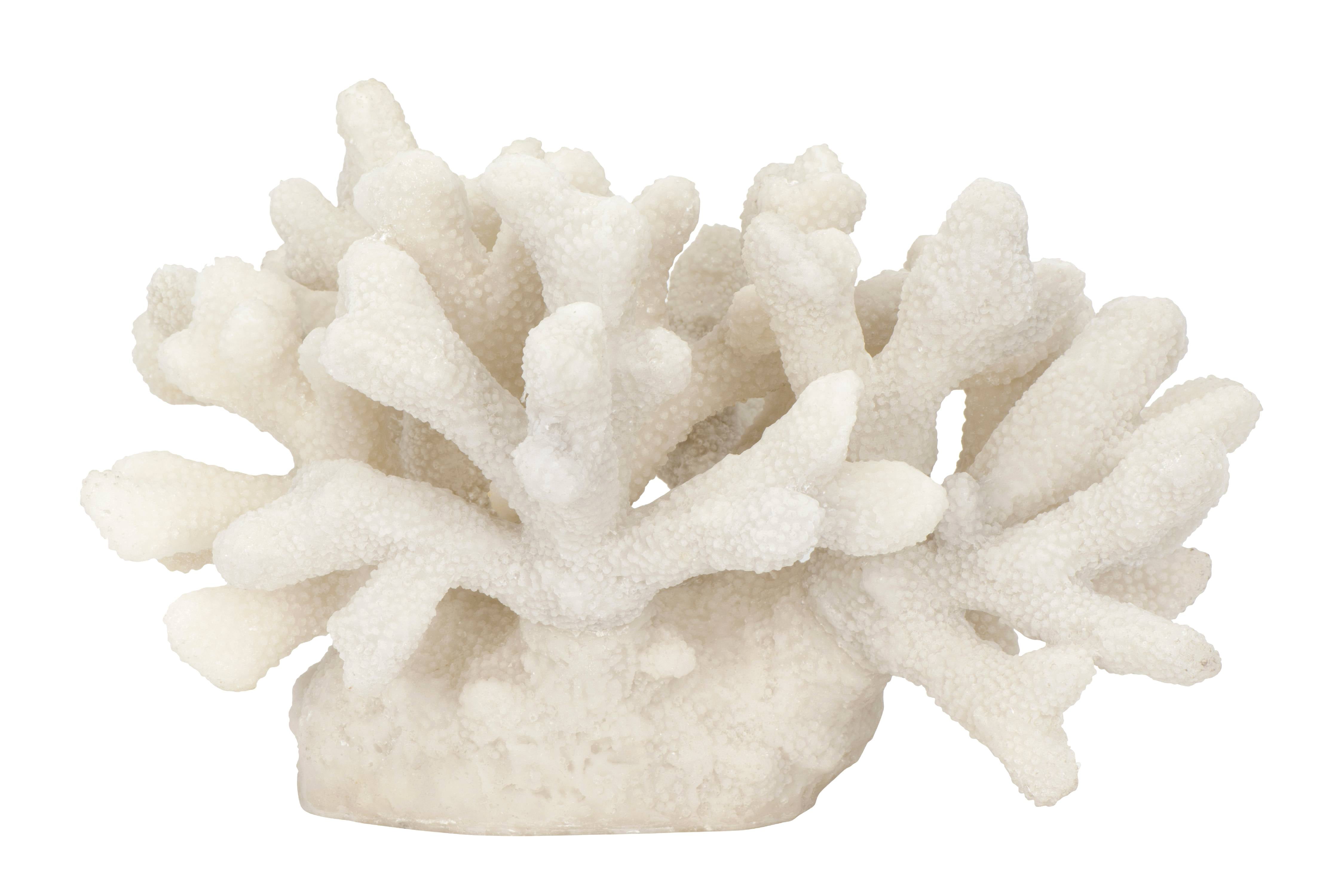 3R Studios Agglomerated Stone Resin Coral Decor - Walmart.com 3R Studios Agglomerated Stone Resin Coral Decor - Walmart.com
