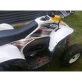 Polaris Scrambler Trail Blazer 250 400 500 (1995-2006) Body Decals ...