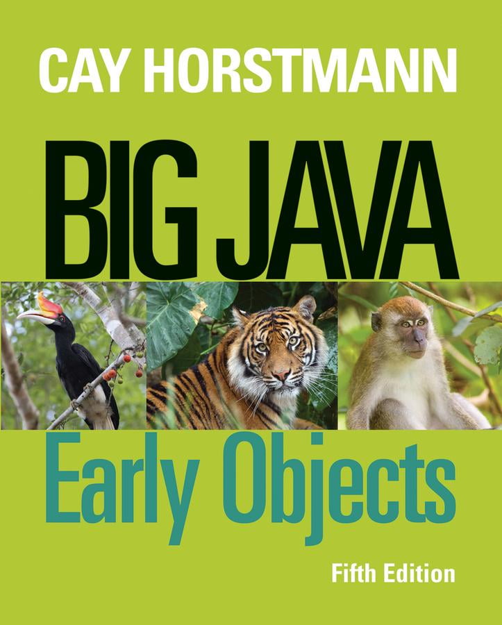 Big Java : Early Objects - Walmart.com