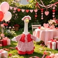 Dongrere Porch Goose Outfit Red Floral Print Geese Clothes with Hat ...