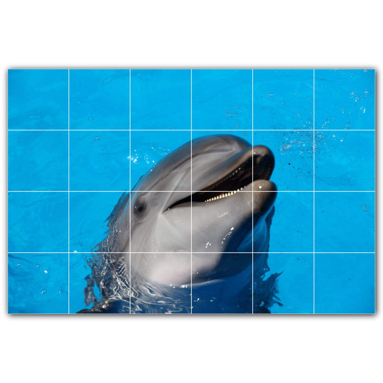 Picture-Tiles.com: Dolphin Ceramic Tile Wall Mural WAL500497-64L. 48"W ...