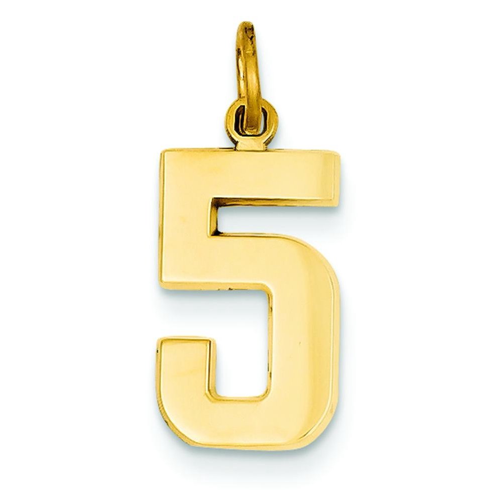 FindingKing - 14K Gold Medium Polished Number 5 Charm Pendant Jewelry ...