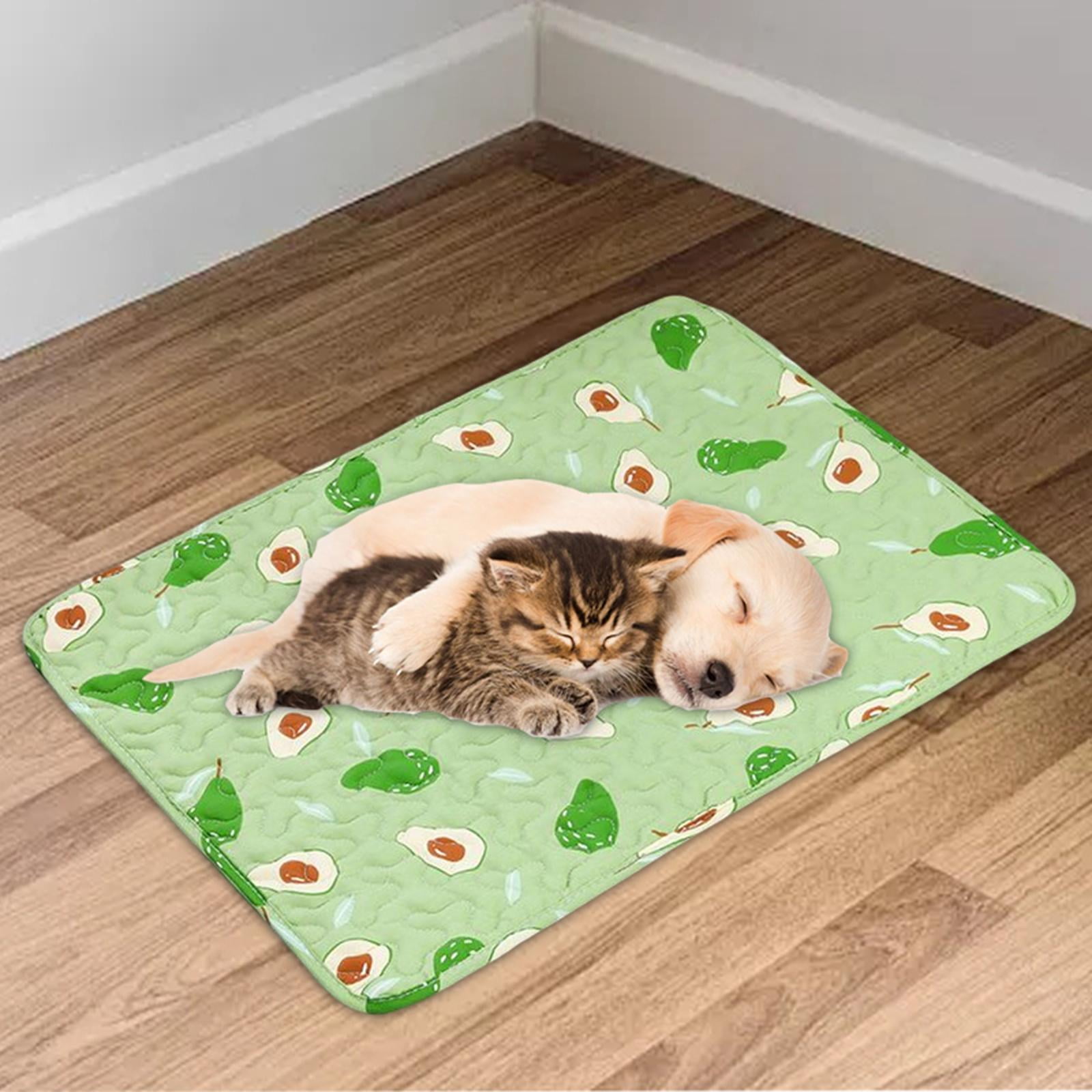 Dog Bed Mat Machine Washable with Cute Prints Summer Soft Bedding Mat ...