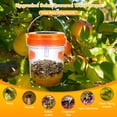 QARUN Wasp Traps for Wasps, Bees, Hornets, Insects, Yellow Jacket Traps ...