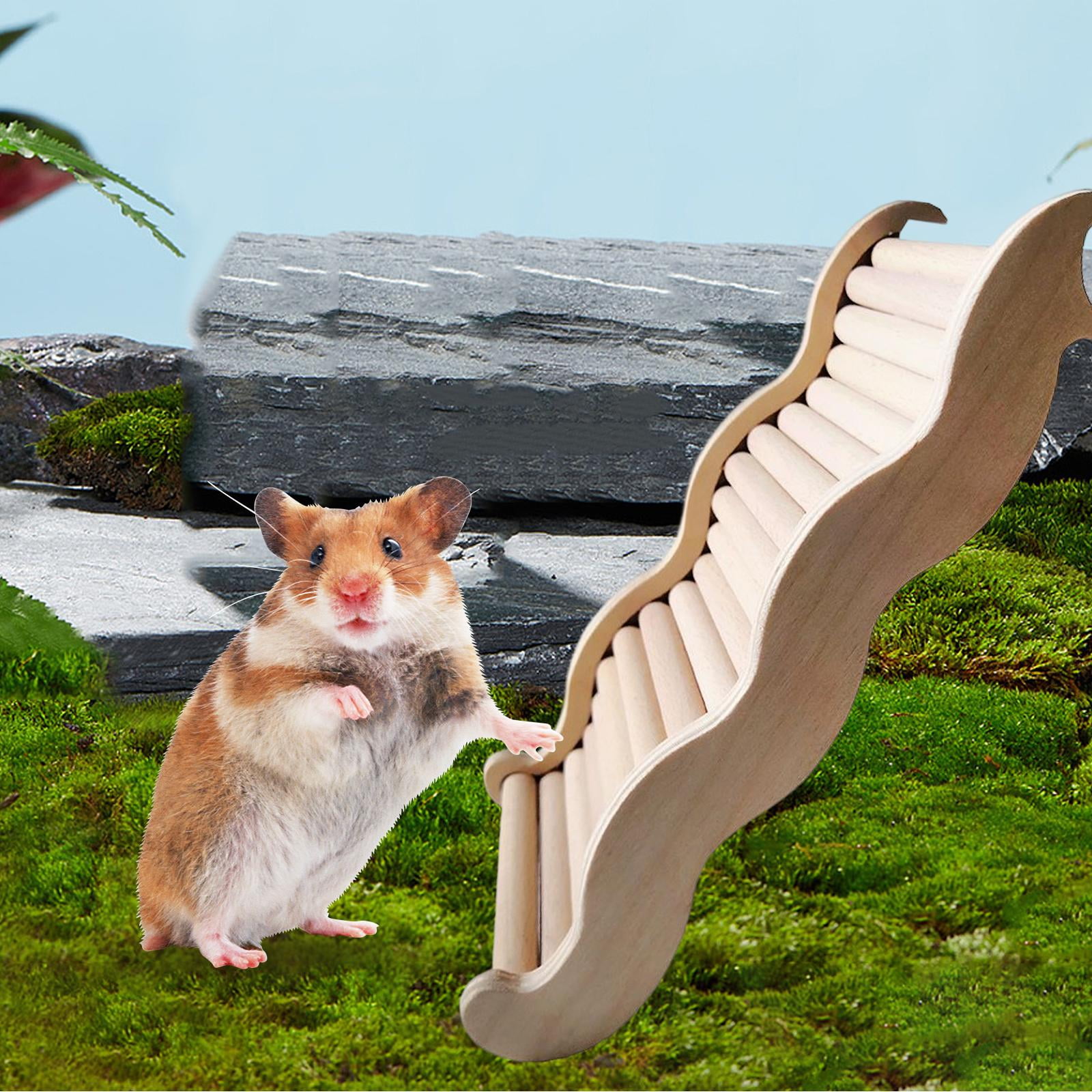 Hamster Stairs, Wood, Gift, Decorative Exercise Toy Cage Accessories ...
