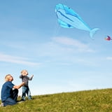 Topcobe 3D Giant Frameless Soft Parafoil Kite for Outdoor & Beach ...