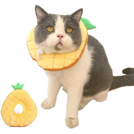 Adjustable Cat E-Collar, Cute Toast Neck Cone After Surgery, Wound ...