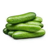 Mucci Farms Fresh Mini Cucumbers 16 oz, Crisp Healthy Snack - Walmart.com