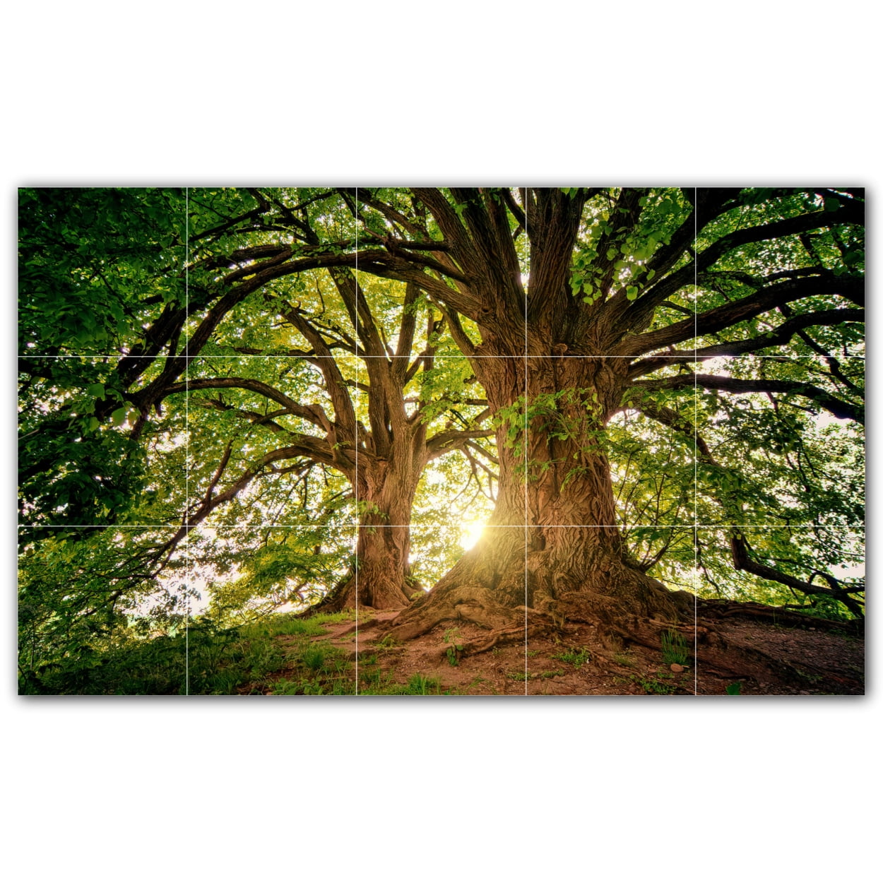 Picture-Tiles.com: Trees Ceramic Tile Wall Mural WAL501032-53XL. 60"W x ...