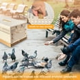 Folding Pigeon Cage Racing Pigeons Travel Cage Pairing Cage Plastic ...