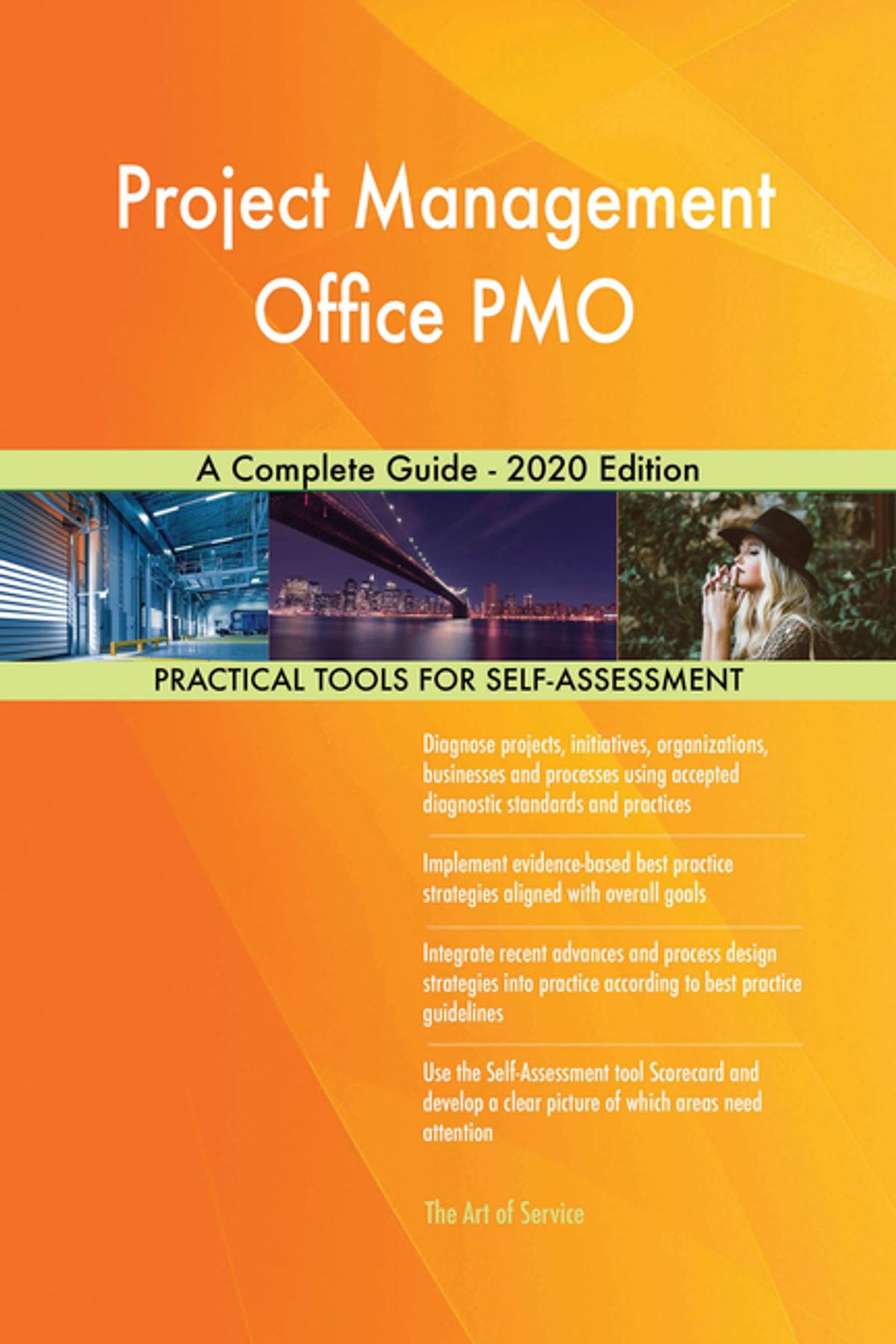 A Complete Guide To Pmis Projectmanagercom
