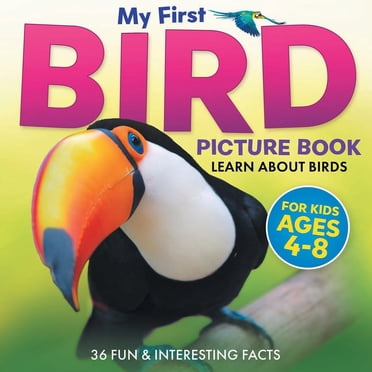Early Bird: A Picture Book, (Board Book) - Walmart.com